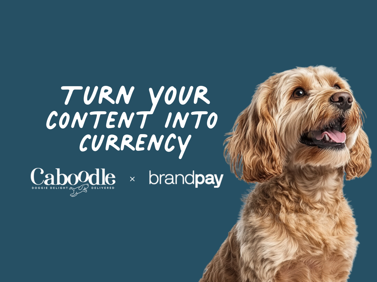 Turn Your Instagram Content Into Currency With Brandpay – Caboodle