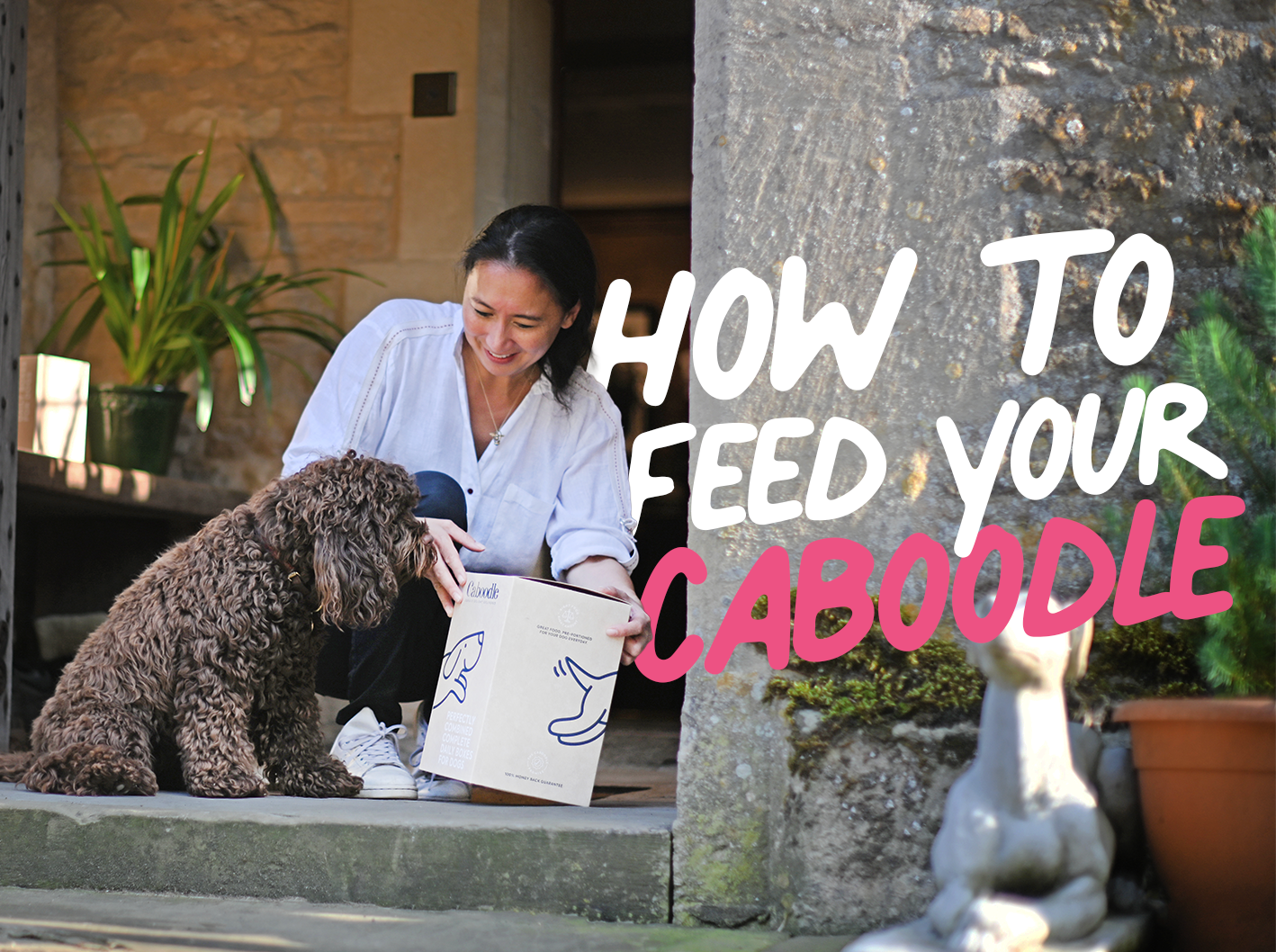 How to Caboodle: Your Guide to Happy, Healthy Feeding