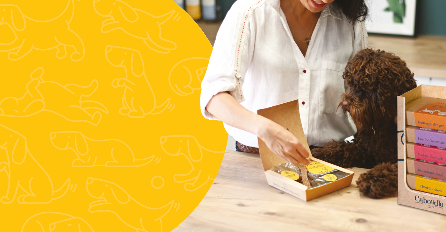 Caboodle - Delicious Dog Food in Pre-portioned meal plans